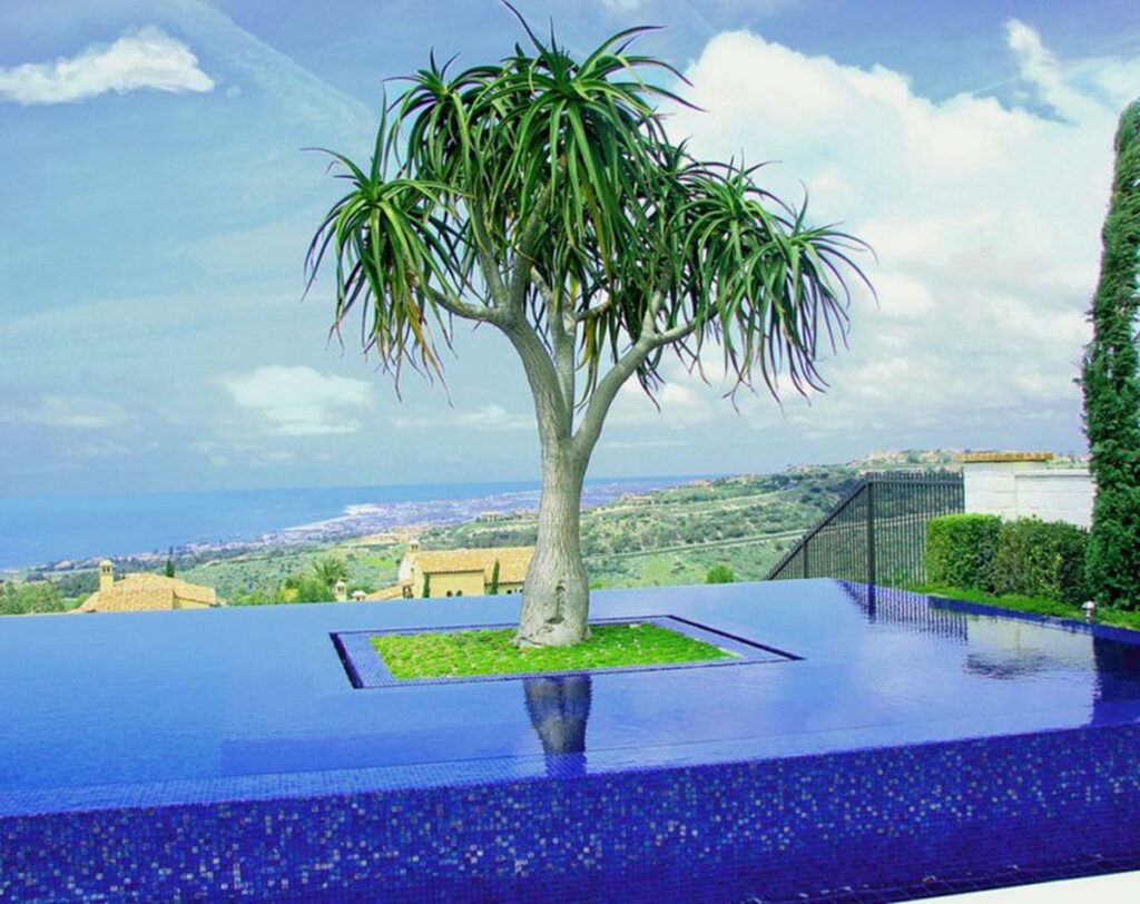 20 Stunning Planters to Enhance Your Pool Area - Archeworks