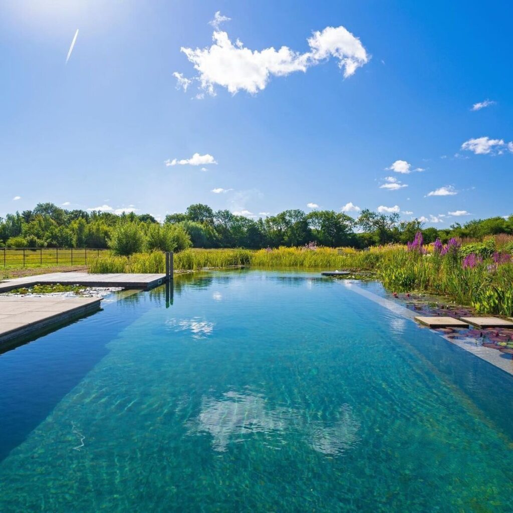 24 Stunning Natural Swimming Pond Ideas for Backyard Bliss - Archeworks