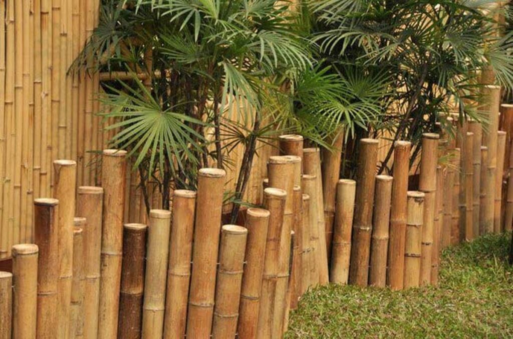 37 Stunning Bamboo Fence Ideas for Your Dream Garden Makeover - Archeworks