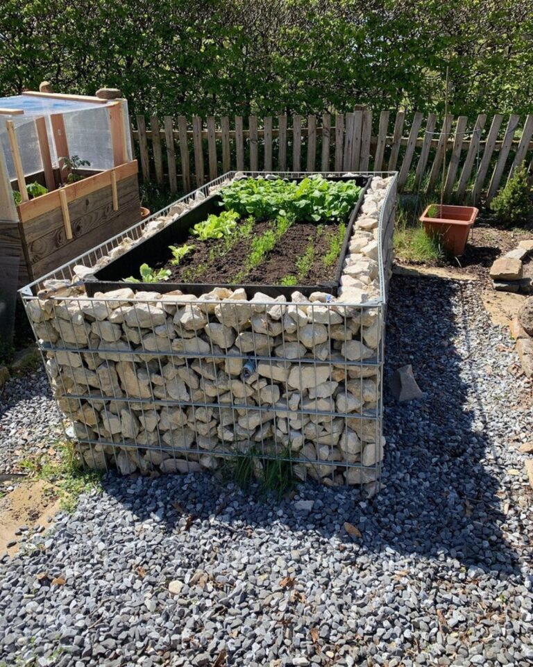 20 Stunning Gabion Garden Ideas to Transform Your Yard - Archeworks