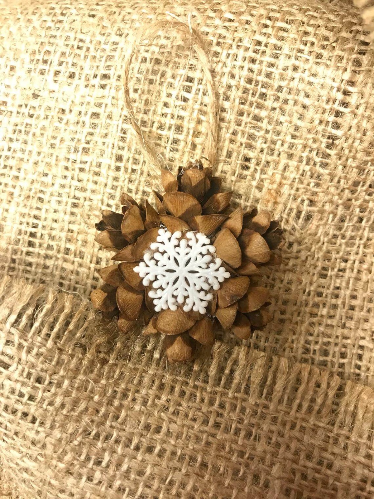 19 Simple & Enchanting Pinecone Crafts for Festive - Archeworks