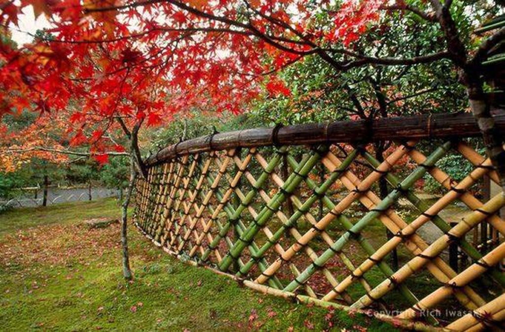 37 Stunning Bamboo Fence Ideas for Your Dream Garden Makeover - Archeworks