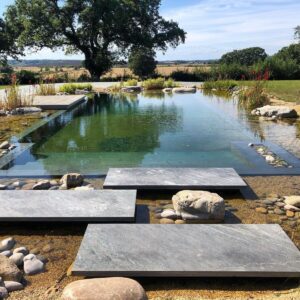 24 Stunning Natural Swimming Pond Ideas for Backyard Bliss - Archeworks