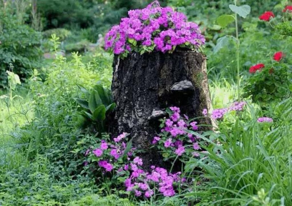 30 Stunning Tree Stump Decor Ideas to Unleash Creativity - Archeworks