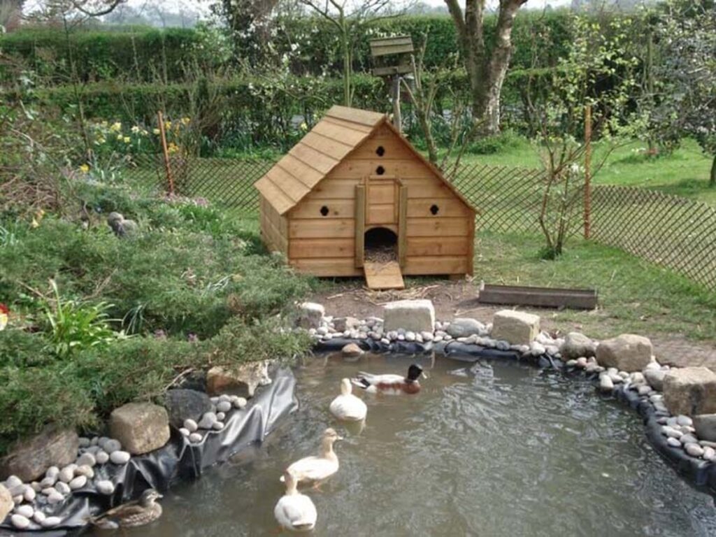 23 Enchanting Backyard Duck Pond Ideas You'll Love - Archeworks