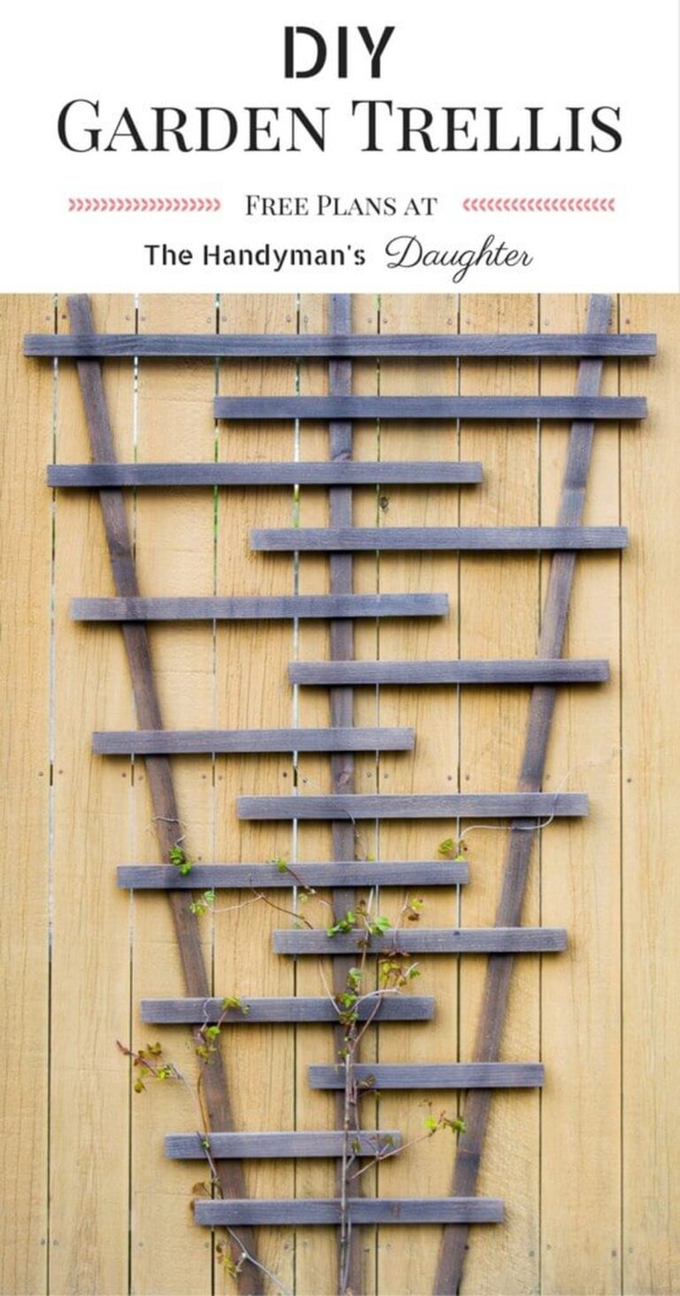 23 DIY Trellis Ideas That Elevate Any Garden - Archeworks