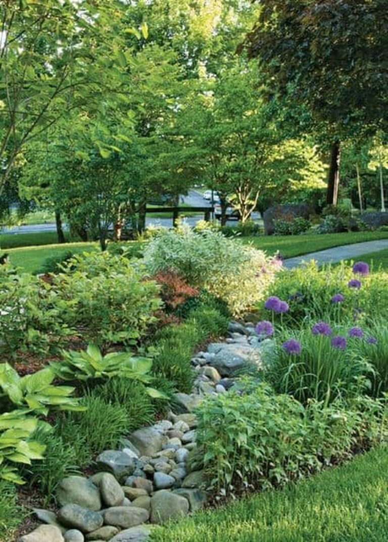 30 Breathtaking Dry River Bed Landscaping Ideas to Transform Your Yard ...