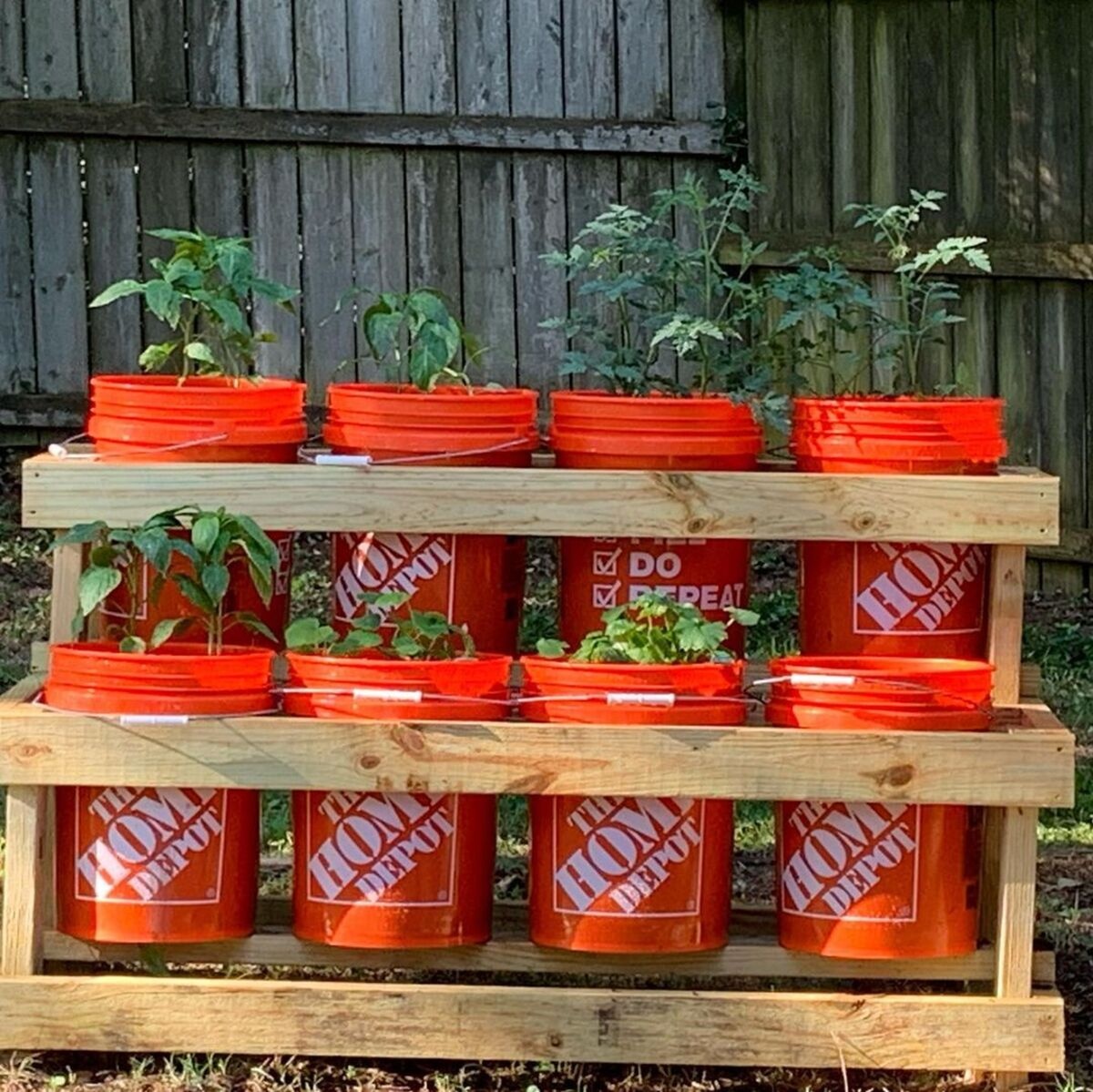 12 Clever Bucket Gardening Ideas for Urban Dwellers - Archeworks
