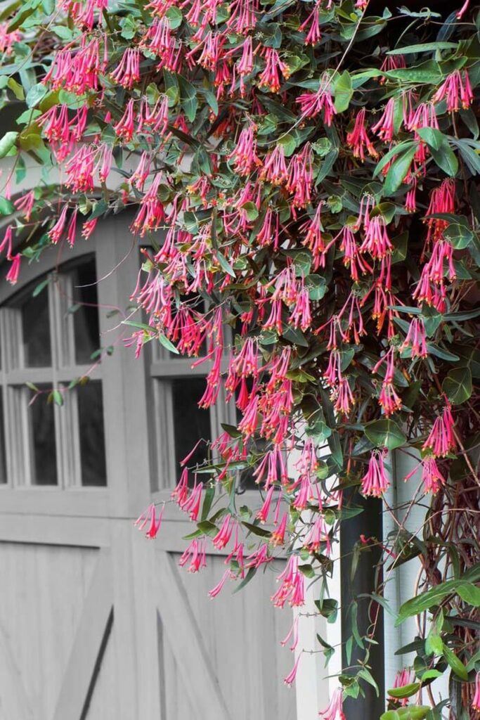 55 Refreshing Ways to Transform Your Outdoor Landscape - Archeworks