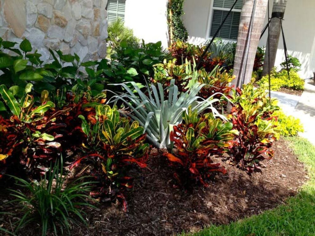 21 Eye-Catching Croton Garden Designs You’ll Love - Archeworks