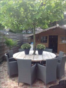 54 Beautiful Bench Around Tree Ideas to Transform Your Garden - Archeworks