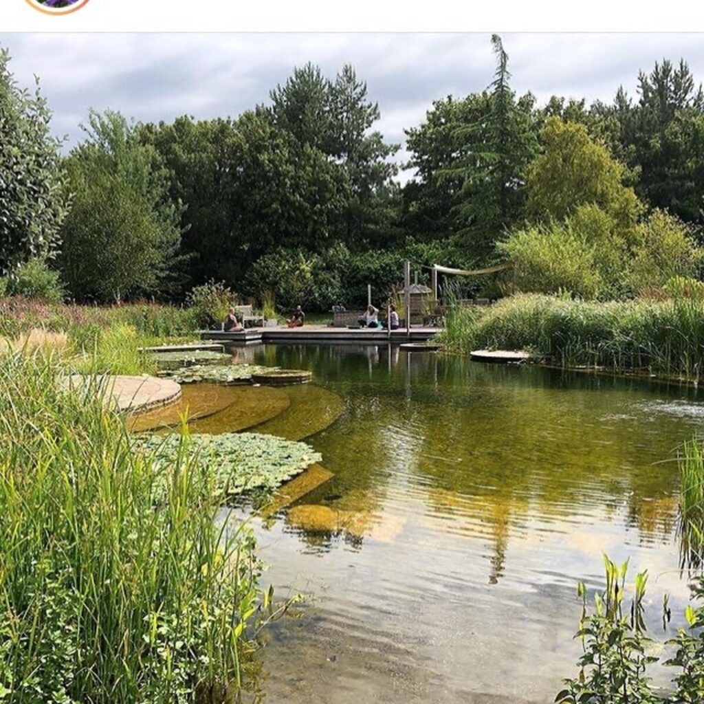 24 Stunning Natural Swimming Pond Ideas for Backyard Bliss - Archeworks