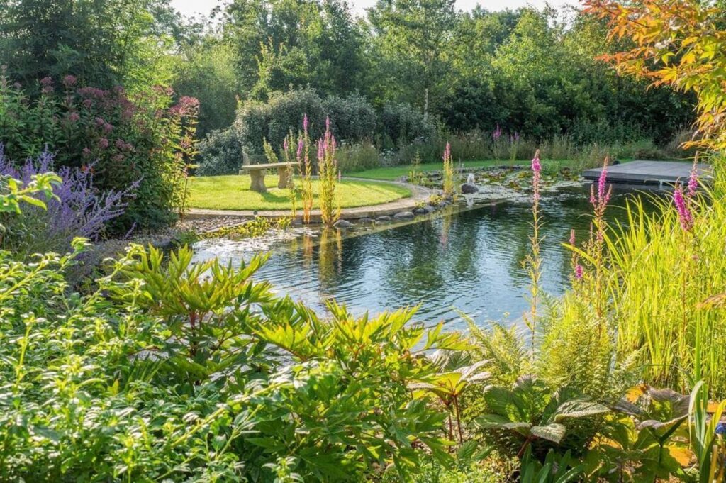 24 Stunning Natural Swimming Pond Ideas for Backyard Bliss - Archeworks