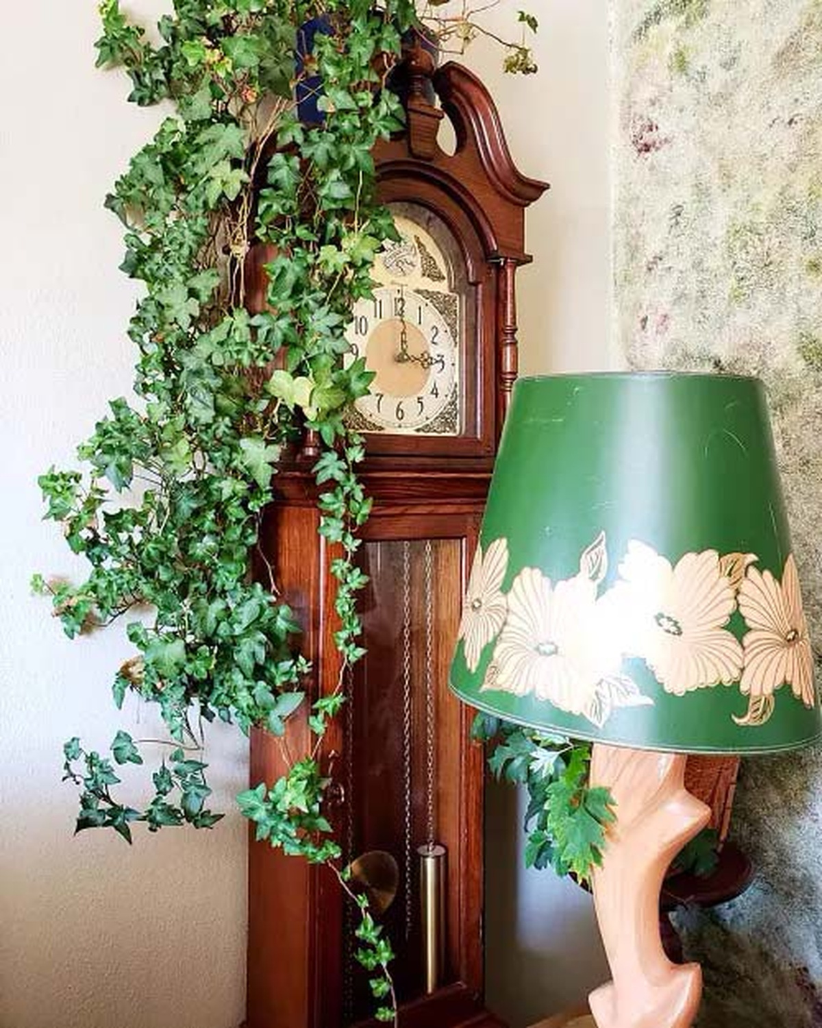 19 Breathtaking Indoor Vines & Climbers to Transform Your Home - Archeworks