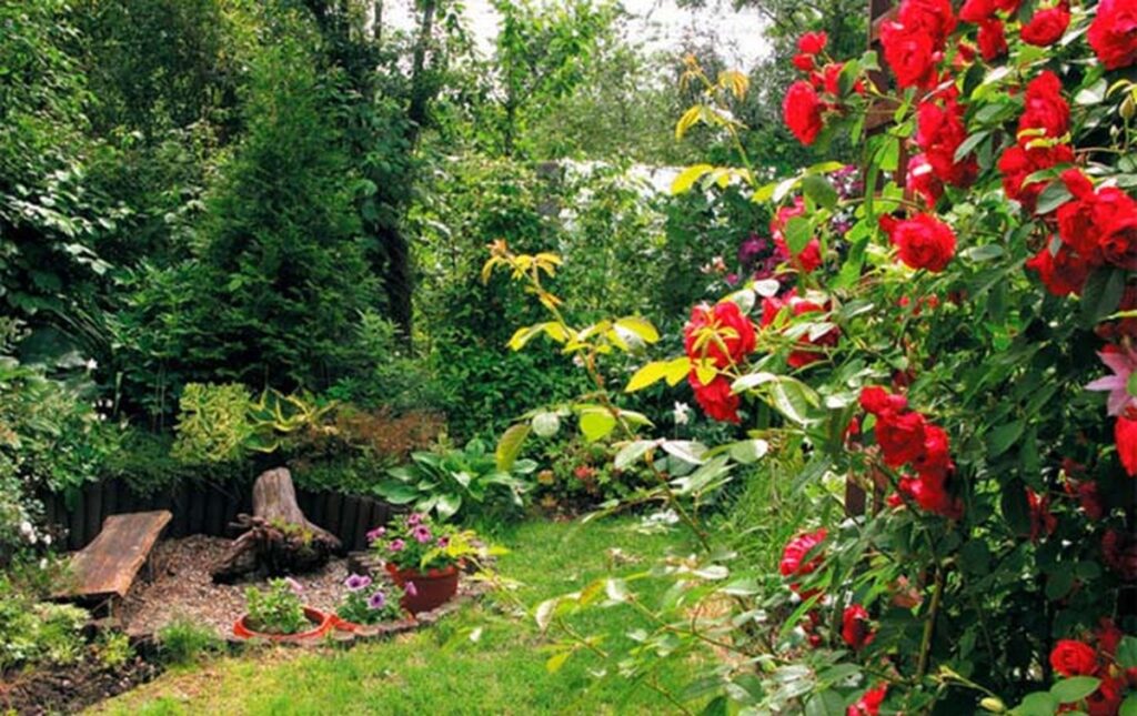 35 Enchanting Rose Garden Ideas That Transform Any Backyard - Archeworks