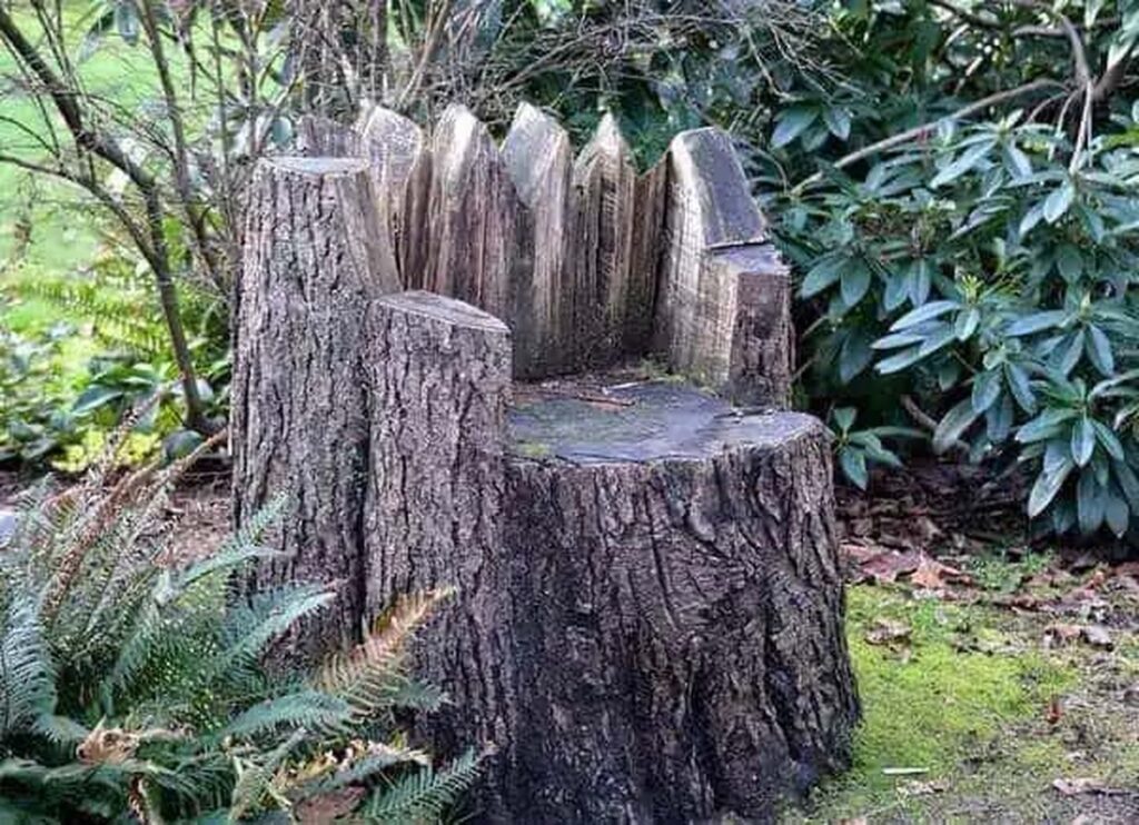 30 Stunning Tree Stump Decor Ideas to Unleash Creativity - Archeworks