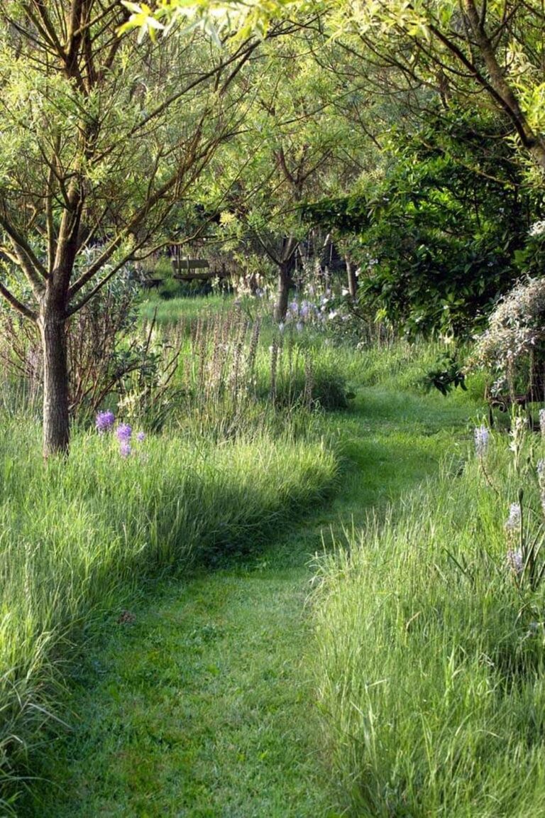 55 Refreshing Ways to Transform Your Outdoor Landscape - Archeworks