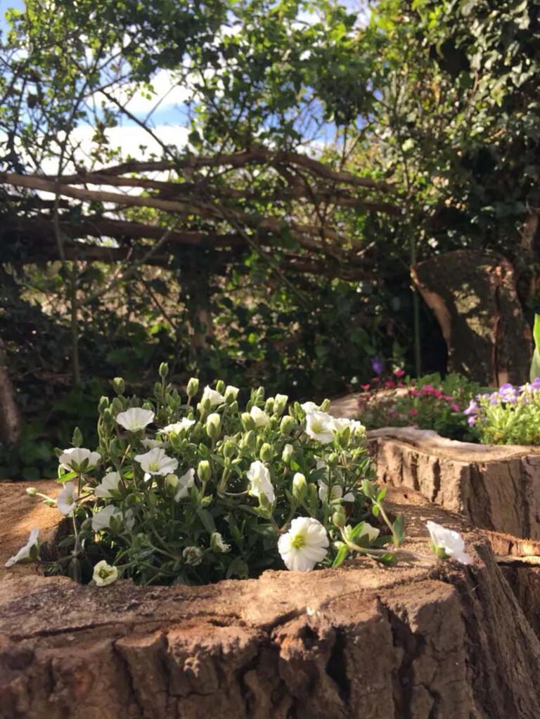 30 Stunning Tree Stump Decor Ideas to Unleash Creativity - Archeworks