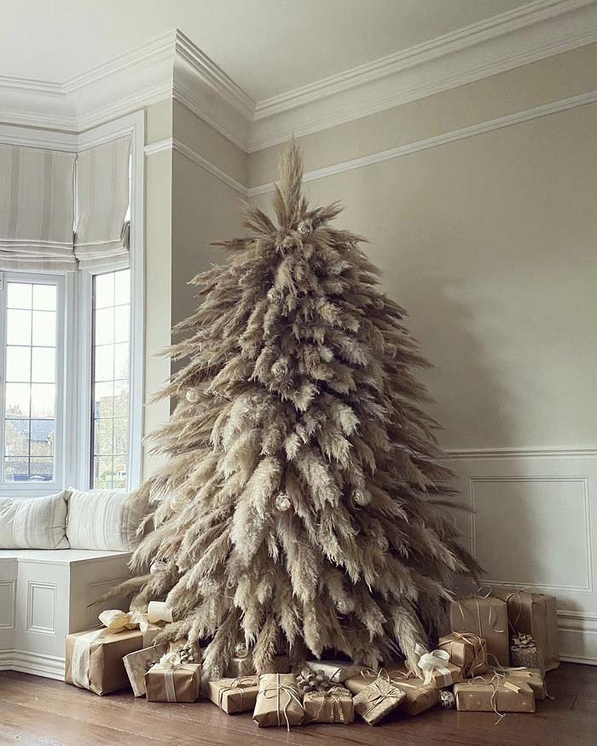 18 Pampas Grass Trees That Add Whimsy and Drama - Archeworks