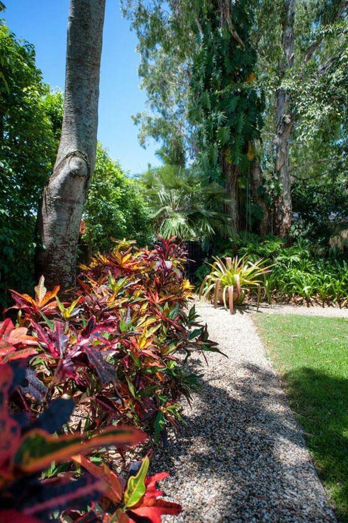 21 Eye-Catching Croton Garden Designs You’ll Love - Archeworks
