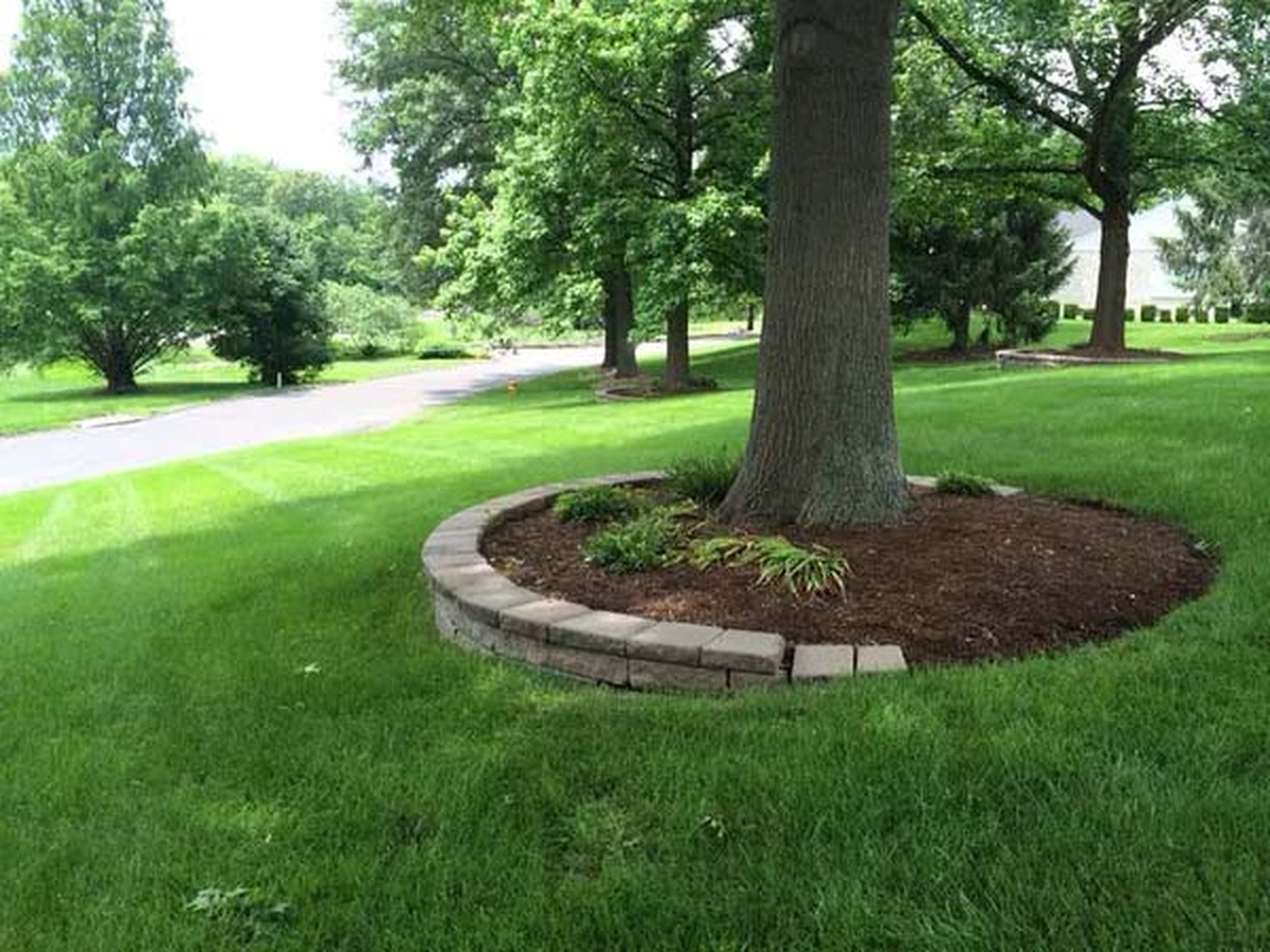 18 Stunning Tree Edging Ideas to Transform Your Garden - Archeworks