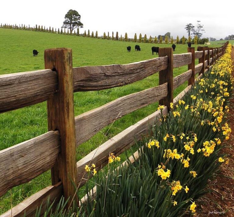 24 Stunning Farmhouse Fence Ideas for Rustic Charm - Archeworks