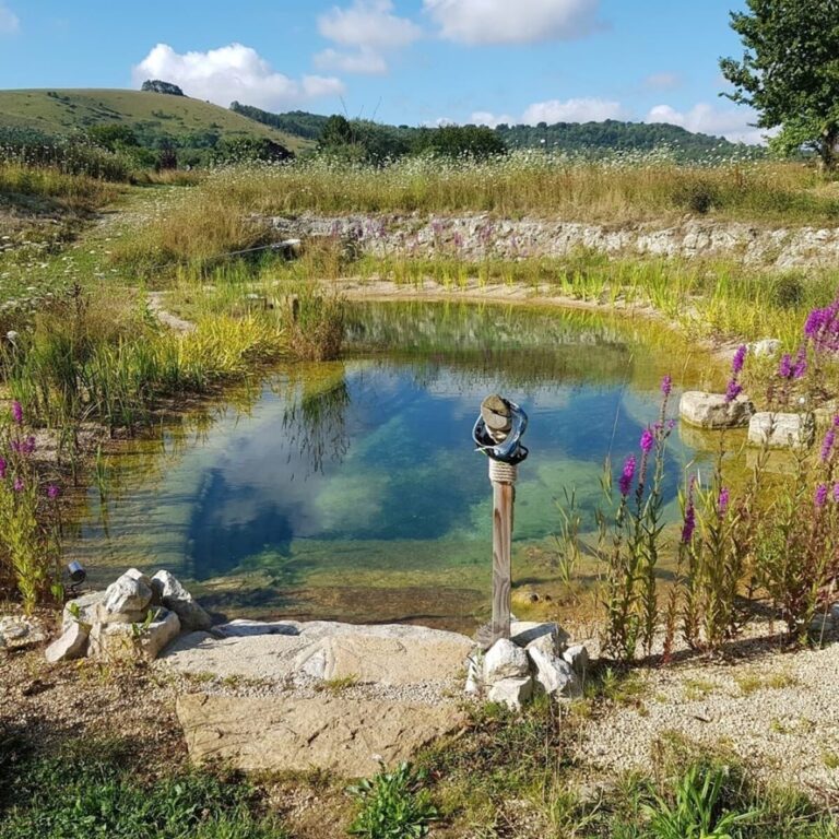 24 Stunning Natural Swimming Pond Ideas for Backyard Bliss - Archeworks
