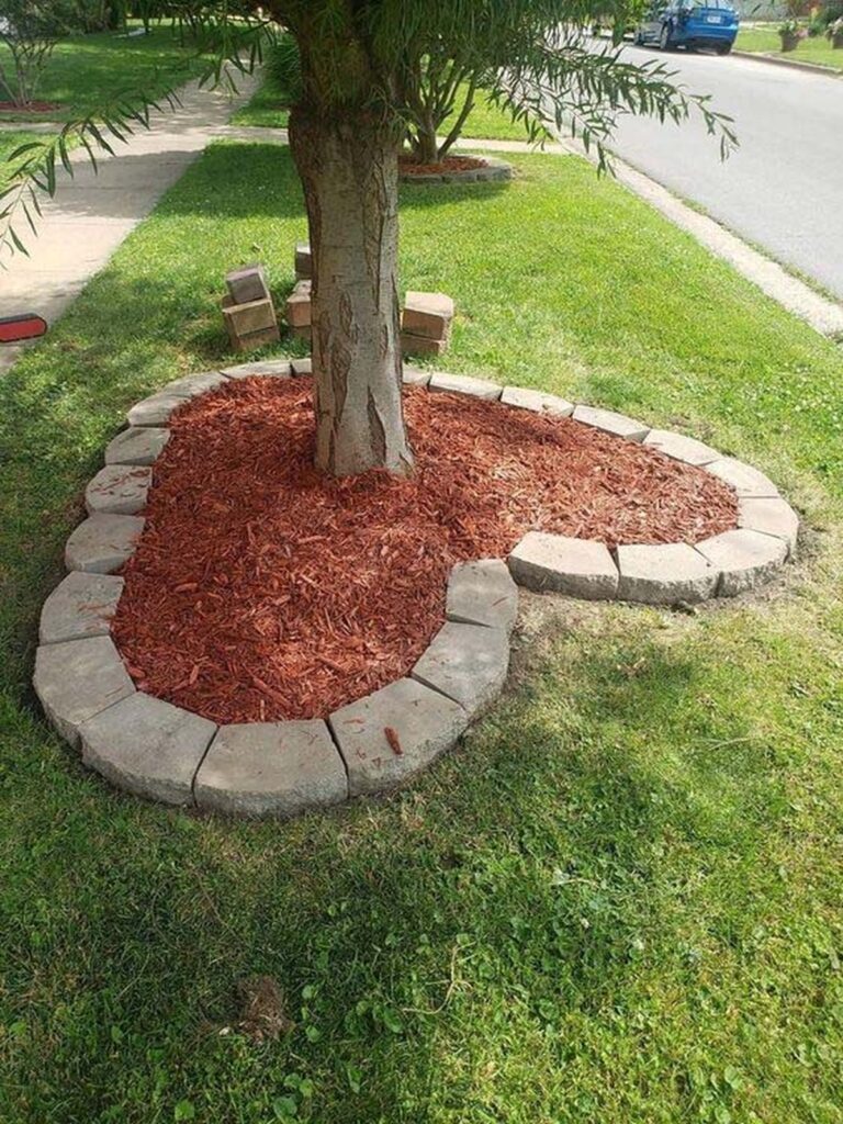 18 Stunning Tree Edging Ideas to Transform Your Garden - Archeworks