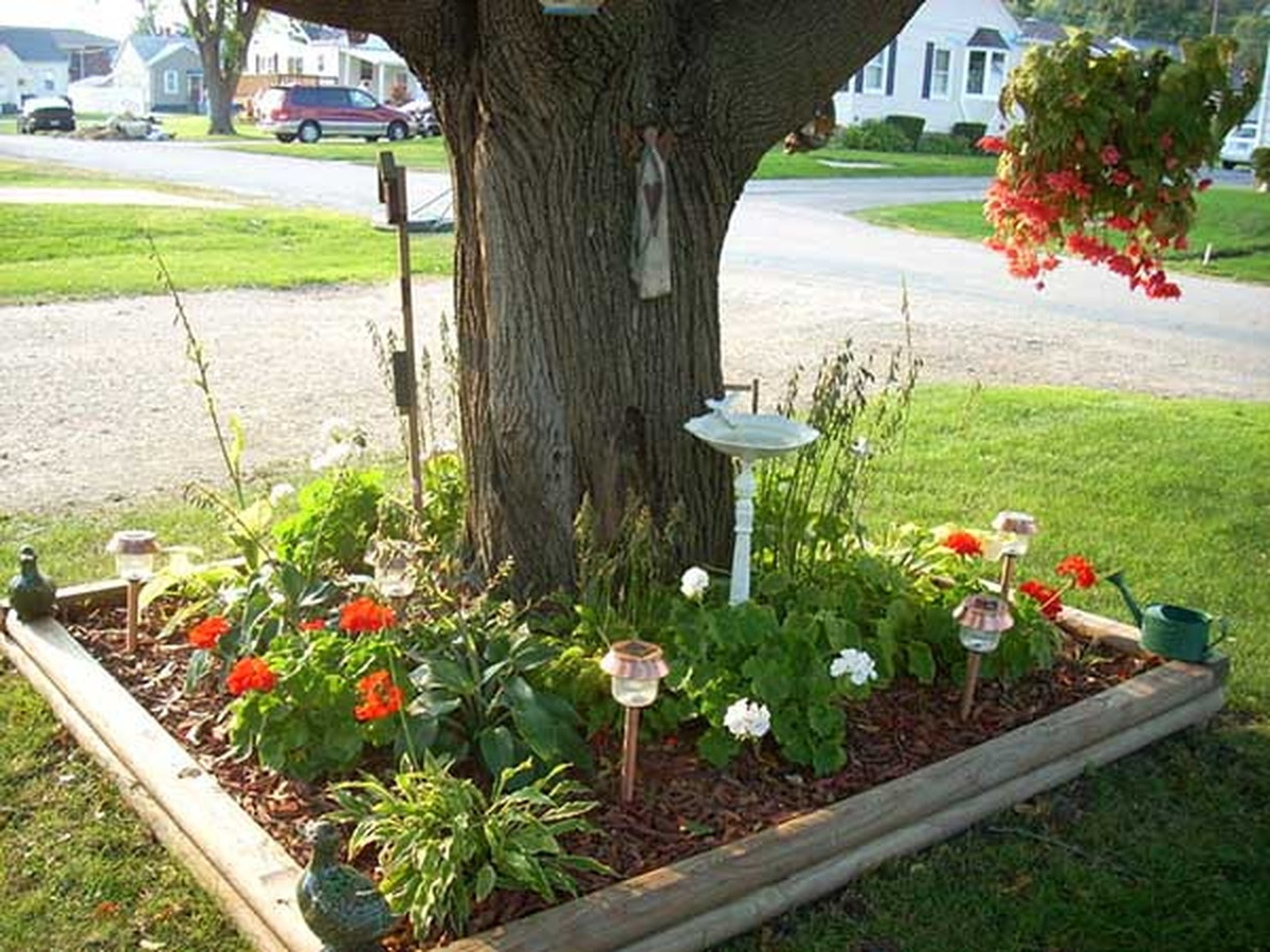 18 Stunning Tree Edging Ideas to Transform Your Garden - Archeworks