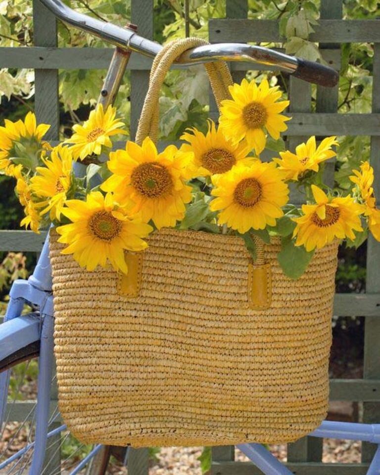 36 Radiant Sunflower Garden Ideas for Sunshine Spaces - Archeworks