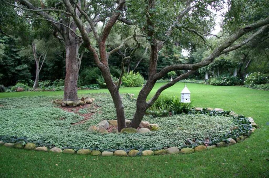 18 Stunning Tree Edging Ideas to Transform Your Garden - Archeworks