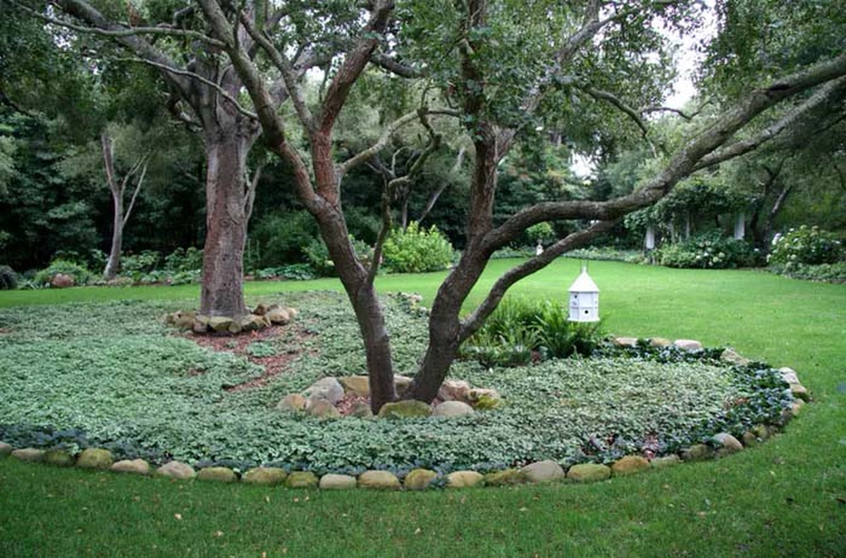 18 Stunning Tree Edging Ideas to Transform Your Garden - Archeworks