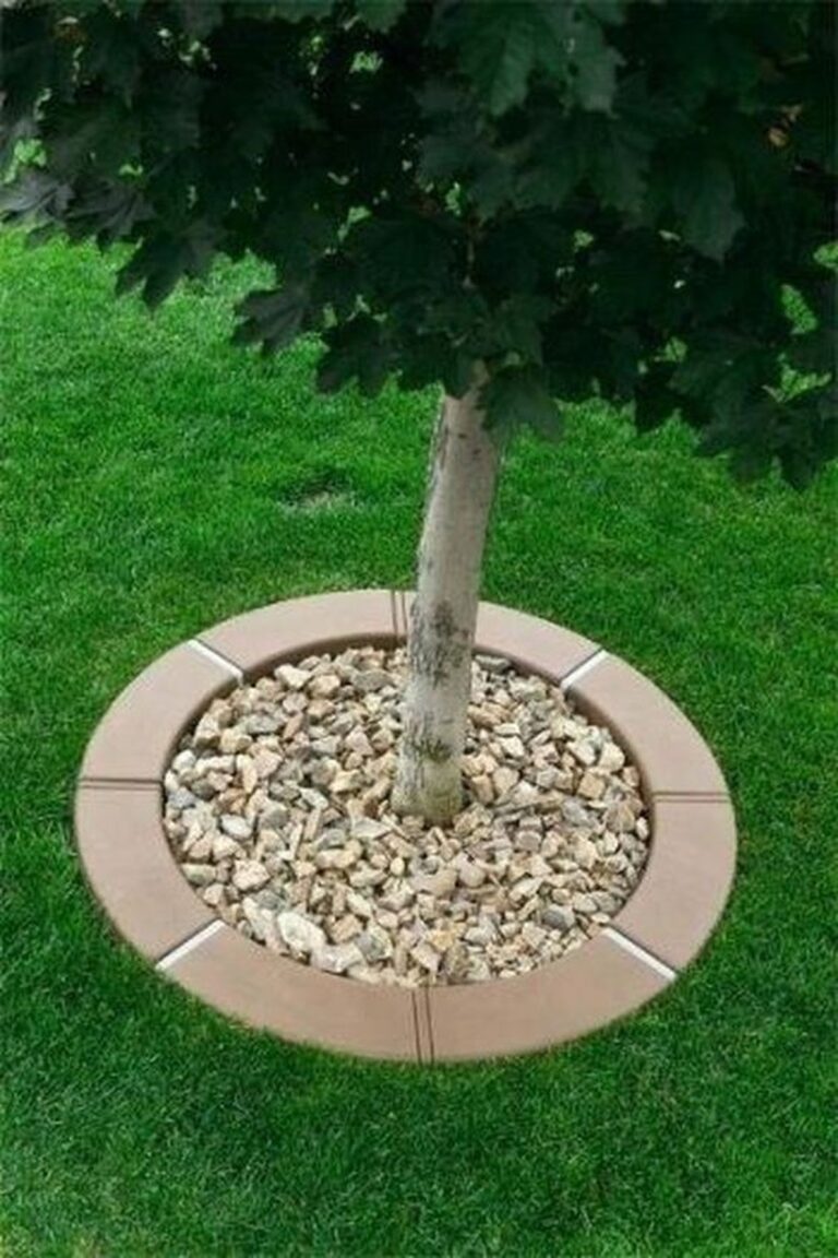 18 Stunning Tree Edging Ideas to Transform Your Garden - Archeworks