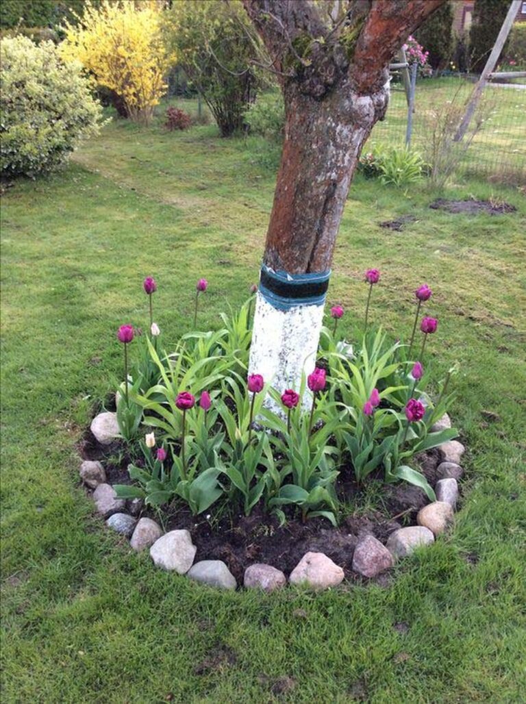 18 Stunning Tree Edging Ideas to Transform Your Garden - Archeworks