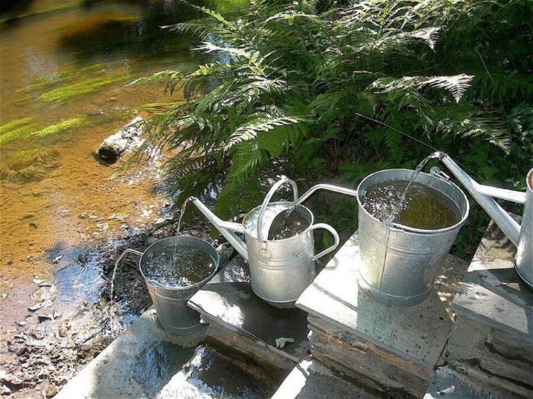 30 Sloped Backyard Ideas That Solve Tough Spaces - Archeworks