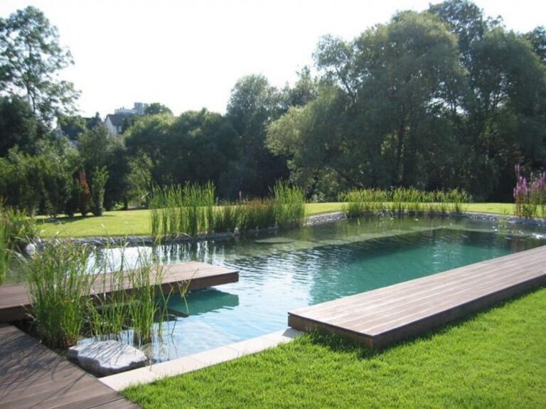 24 Stunning Natural Swimming Pond Ideas for Backyard Bliss - Archeworks