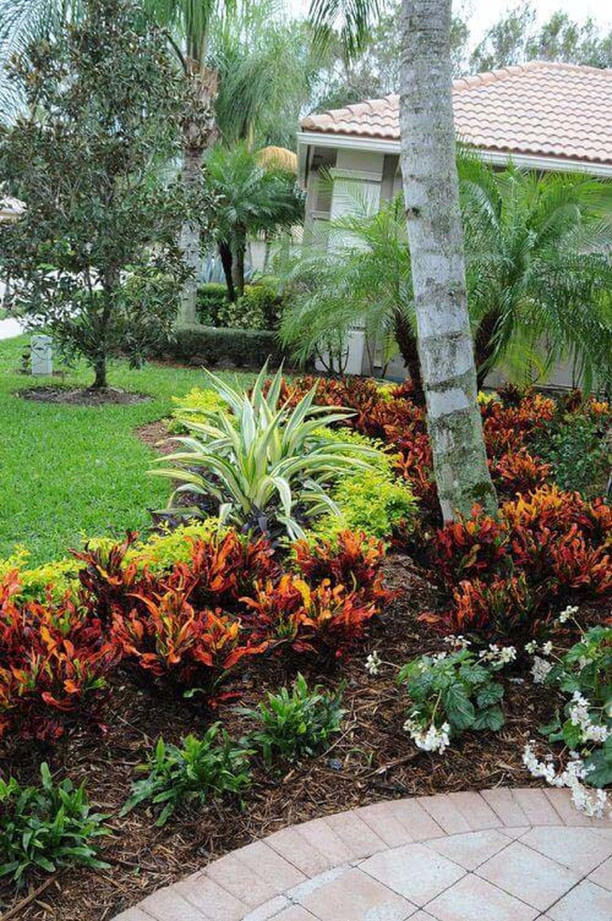 21 Eye-Catching Croton Garden Designs You’ll Love - Archeworks