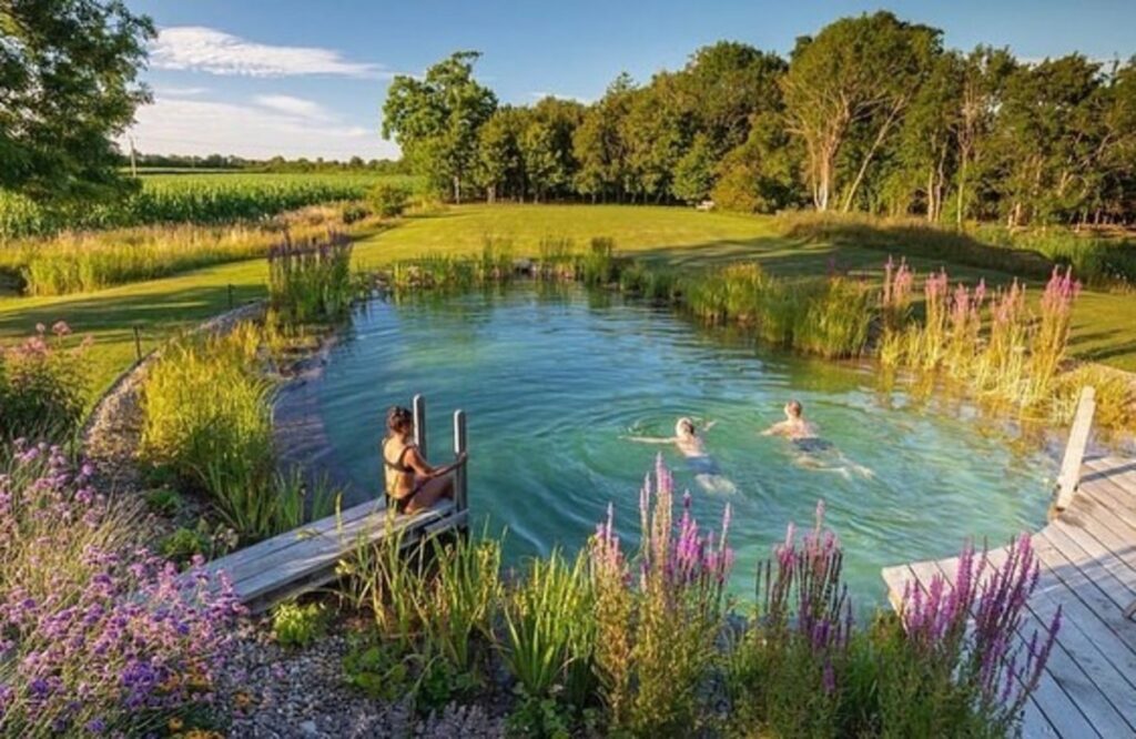 24 Stunning Natural Swimming Pond Ideas for Backyard Bliss - Archeworks