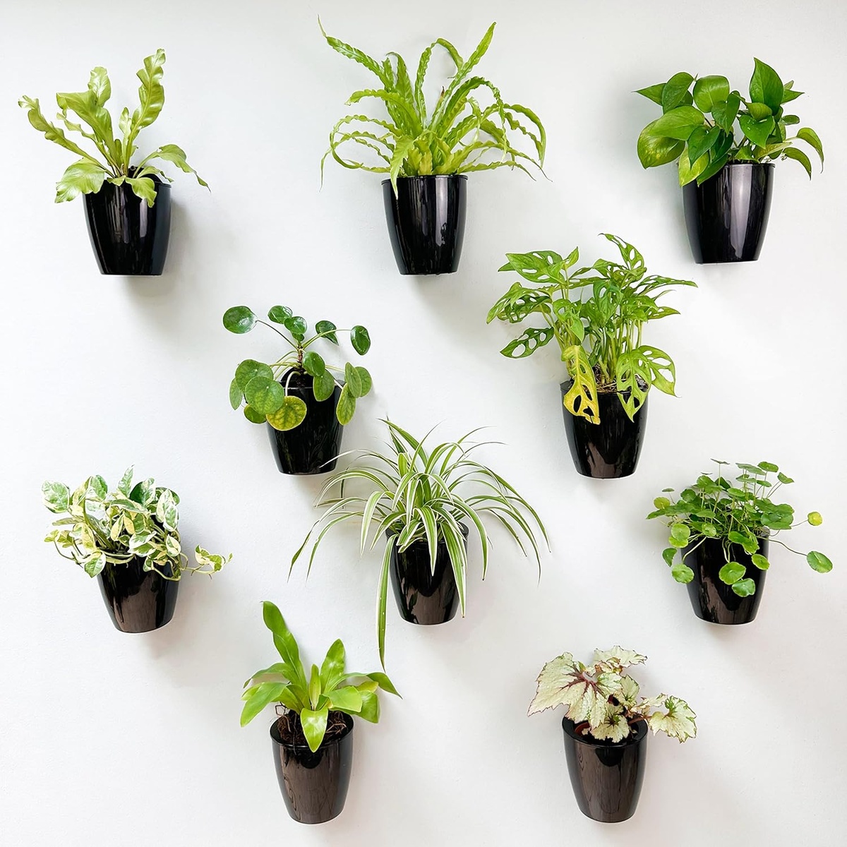 18 Beautiful Plant Wall Decor Ideas to Elevate Your Space - Archeworks