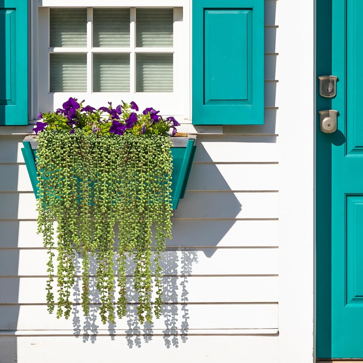 18 Beautiful Plant Wall Decor Ideas to Elevate Your Space - Archeworks